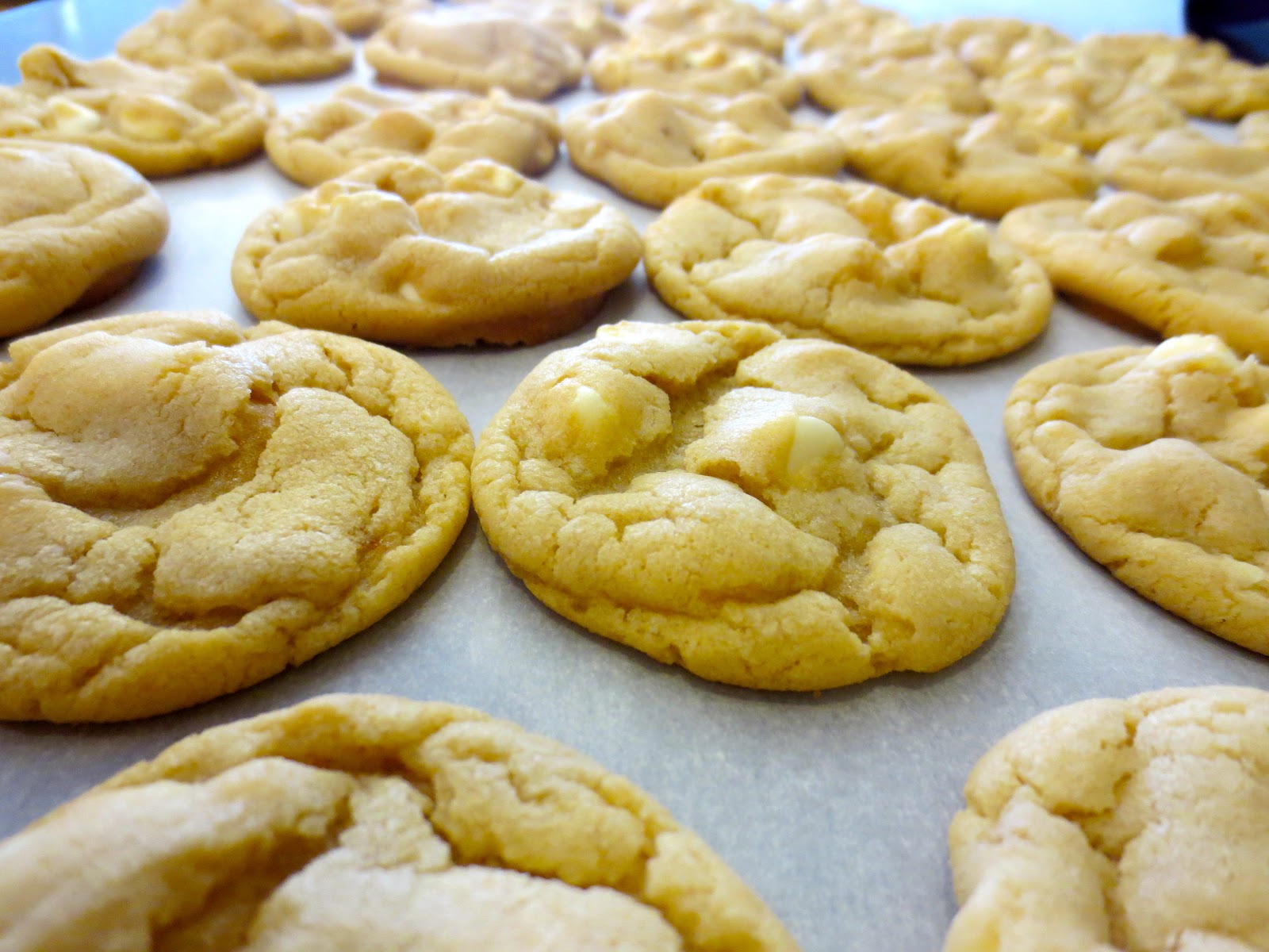 The Never Land Reading Club: Charlie and the Chocolate Factory