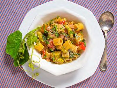 The Garden Cat Cottage: CUCUZZA/GOOGOOTS