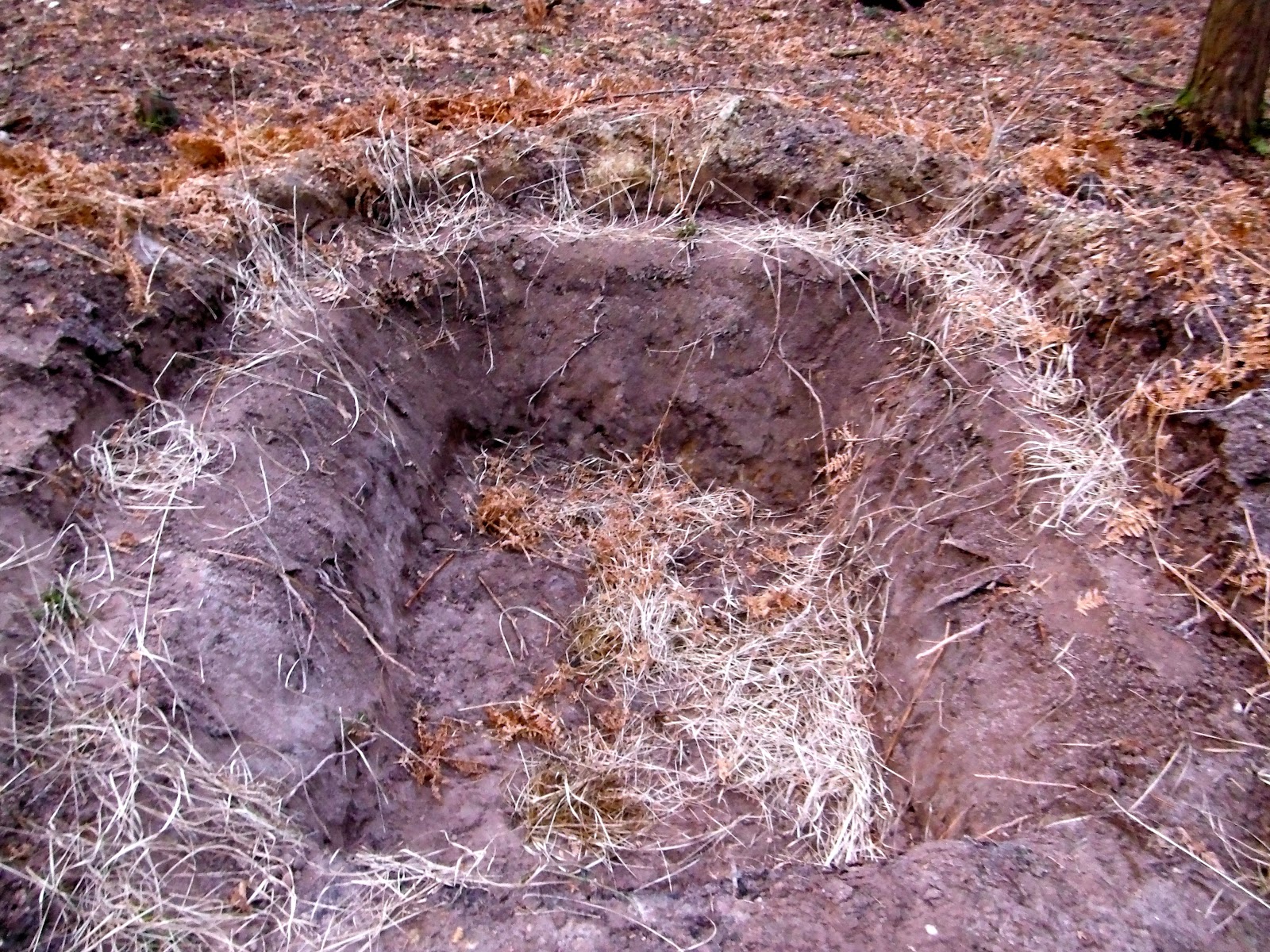 Harry the Hat: A Journey through Sandhurst