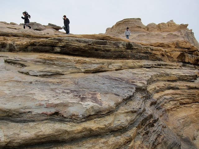 the hollywood north report: Field trip