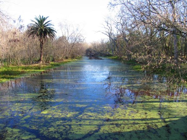COA La Plata - Lugares: Parque Pereyra - Estancia Santa Rosa