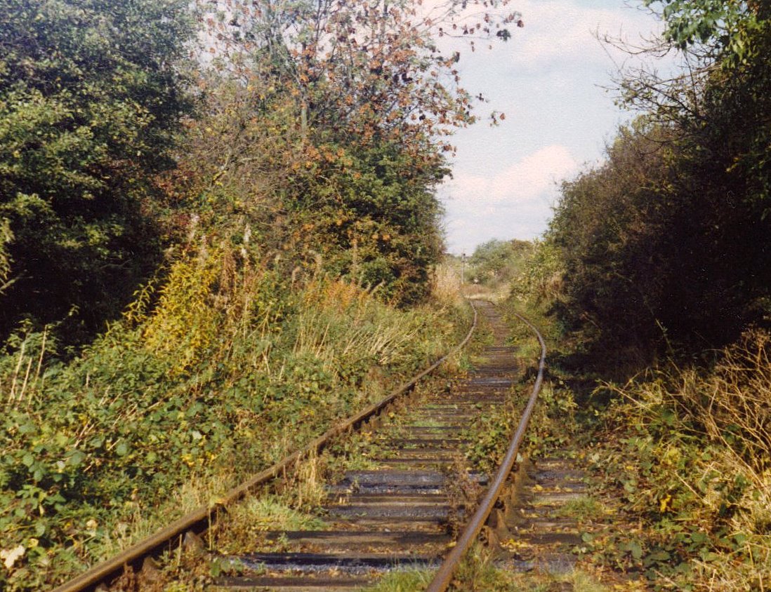 the rail thing: shropshire and montgomeryshire railway