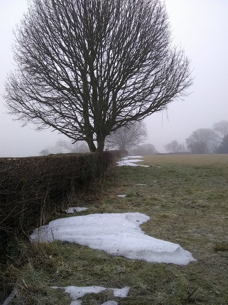 Murder is Everywhere: Snow Business: Bringing Out the Best and the ...