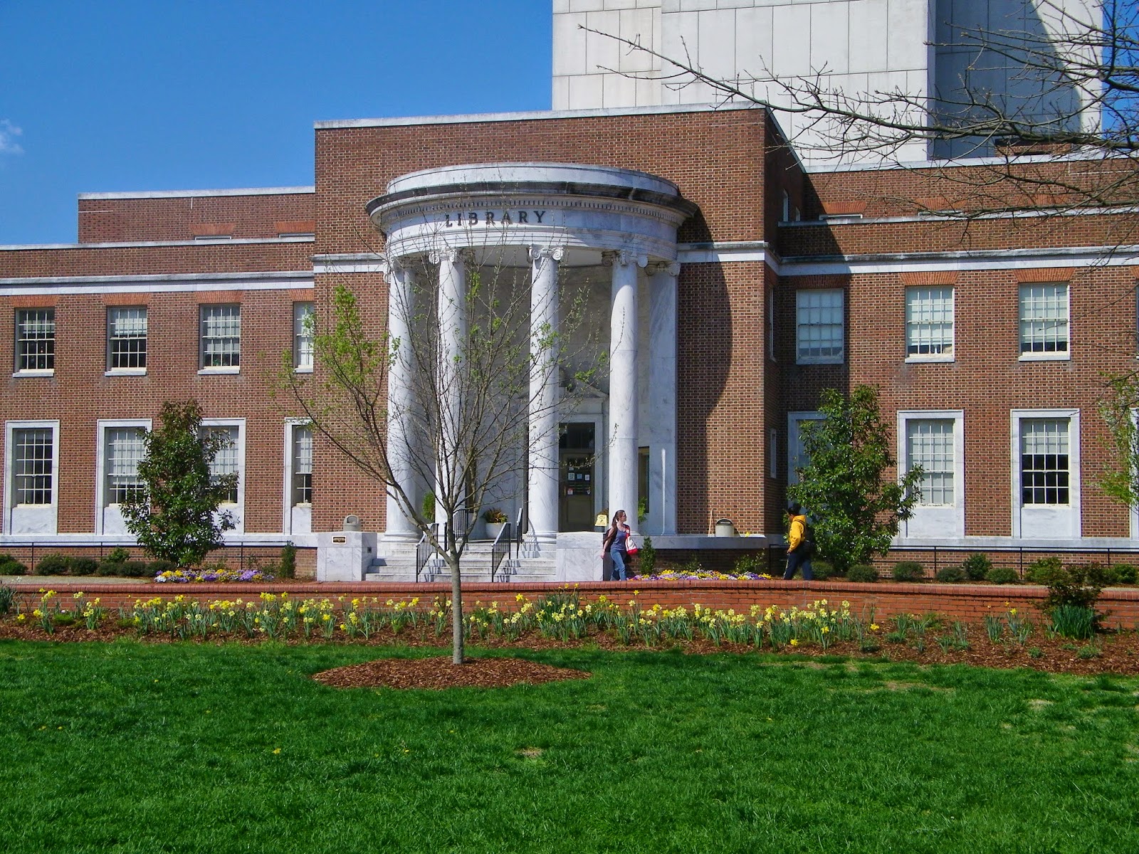 Spring Bloom in Front of Jackson Library