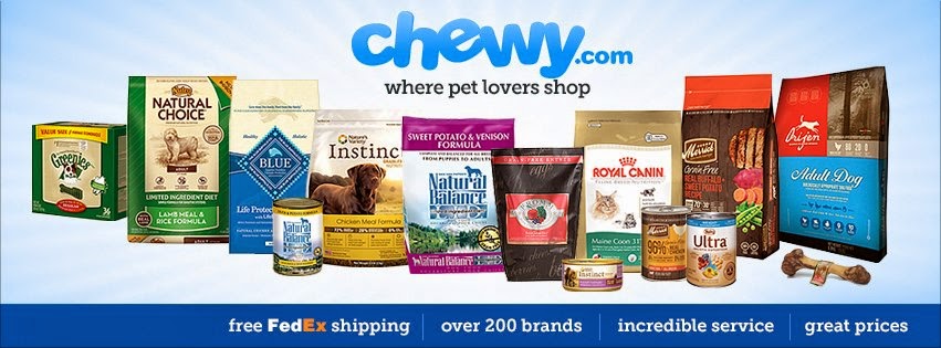 Talking Dogs at For Love of a Dog: Chewy.com Beach Party