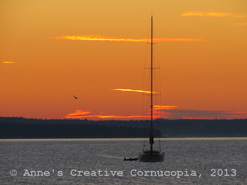Anne's Creative Cornucopia: Harbor Sunrise - Photographs