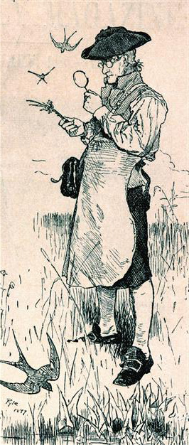 London Calling: PAINSHILL PARK (Surrey)