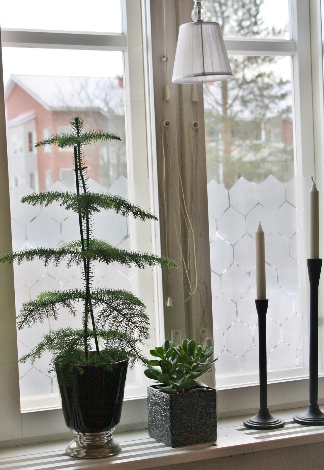 Insynsskydd DIY window privacy … | Fönster insynsskydd, Inredning, Fönster