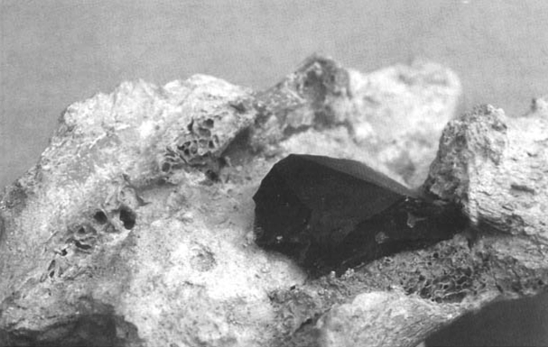 The Subversive Archaeologist: Haft-Way There!