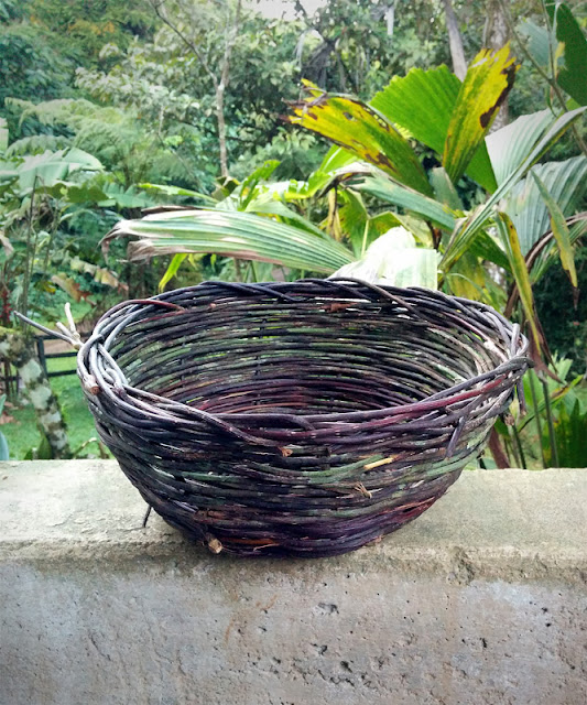 Nessy Designs: Mimbre