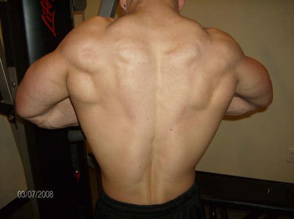 the beauty of male muscle: Eric