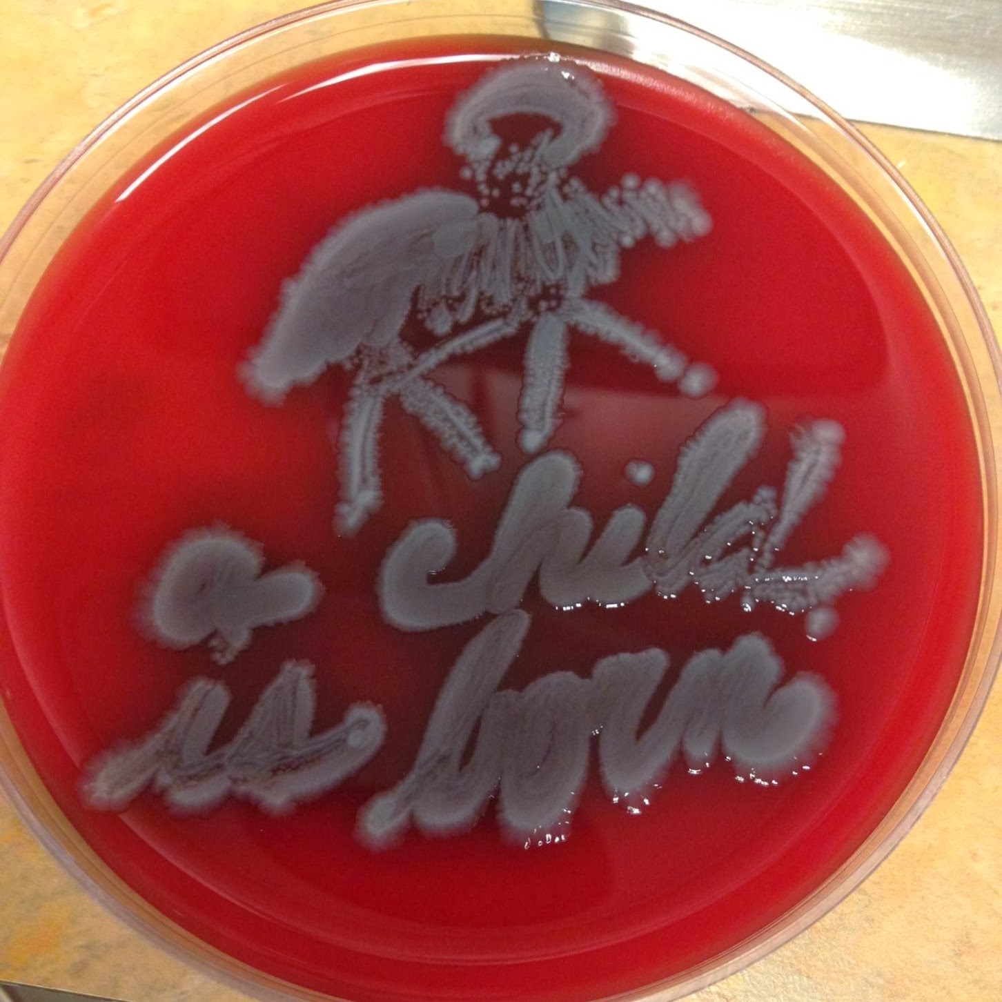 Miss Brenda!: Purity Plate