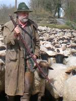 Rev. Dr. Thomas Shepherd's Theo-Blog: Shepherds and Angels: Odd Couple?