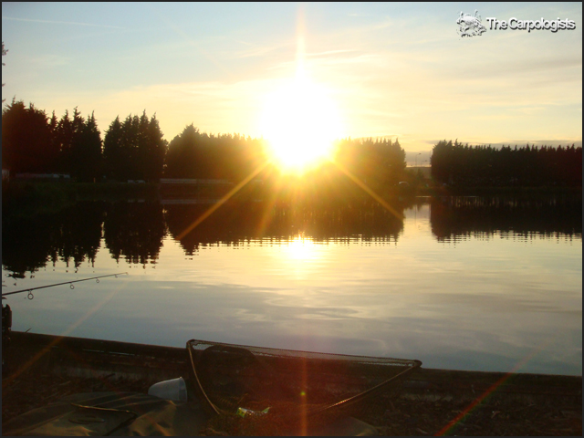 The Carpologists: Pendle View Fishery - The Result