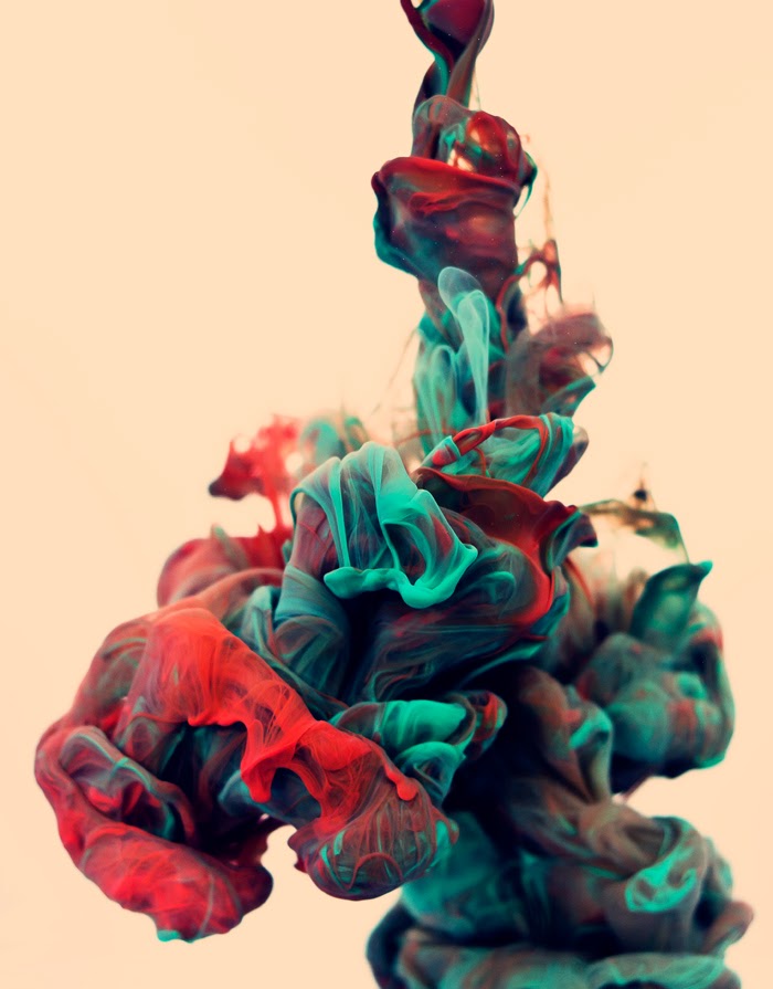 antblog: Alberto Seveso