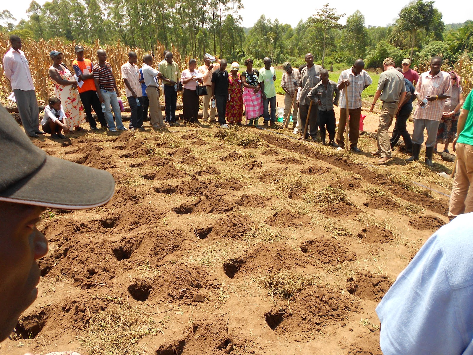 Home on the Range: Farming God's Way