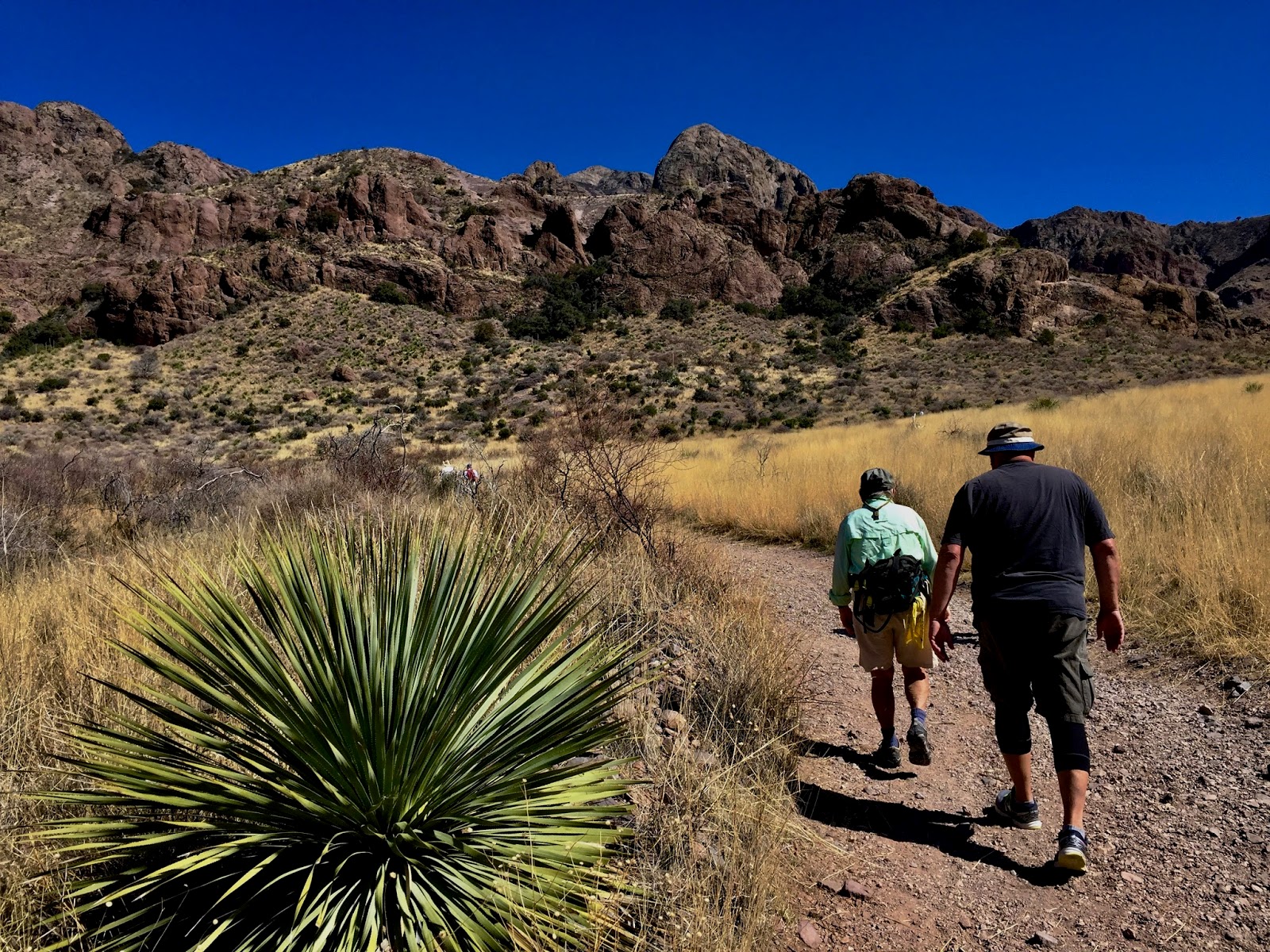 Wandering w/ Serenity: Dripping Springs Hike