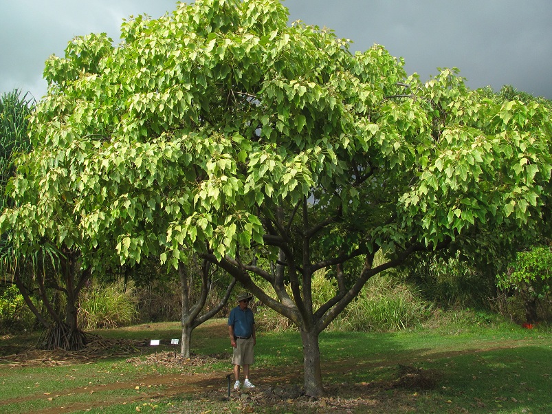 The Road Less Traveled: Flora and Fauna