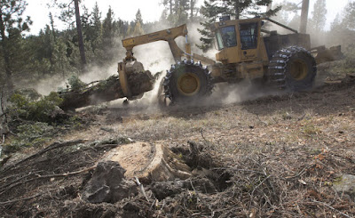 Short Term Impact for Long Term Benefits – Wildfire in the West