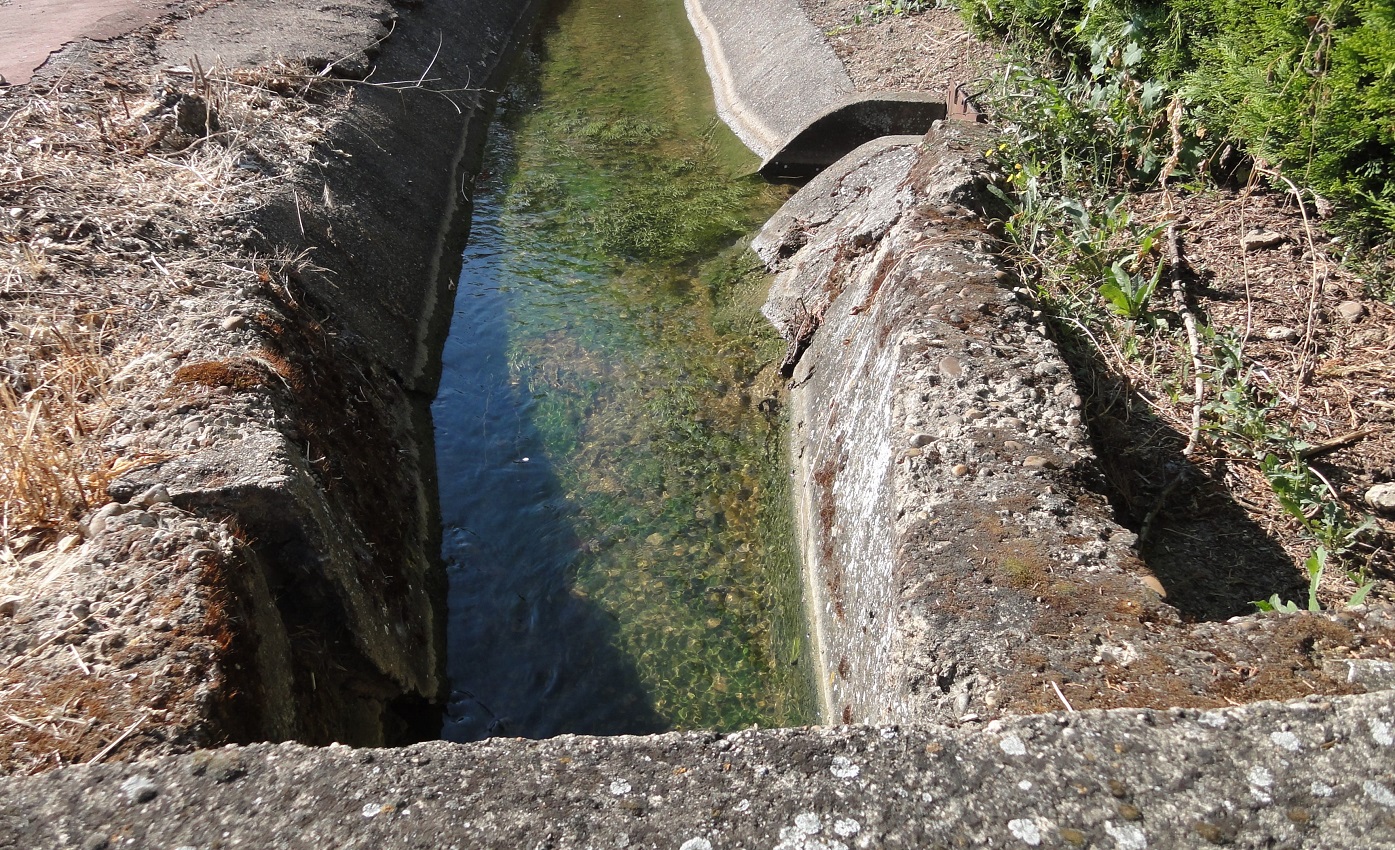 CAMINO PARADA Y VUELTA: PALENCIA. LA ACEQUIA