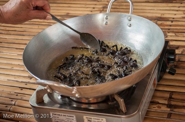 Moe and Irene's RTW blog: Fried Tarantula - A Delicacy