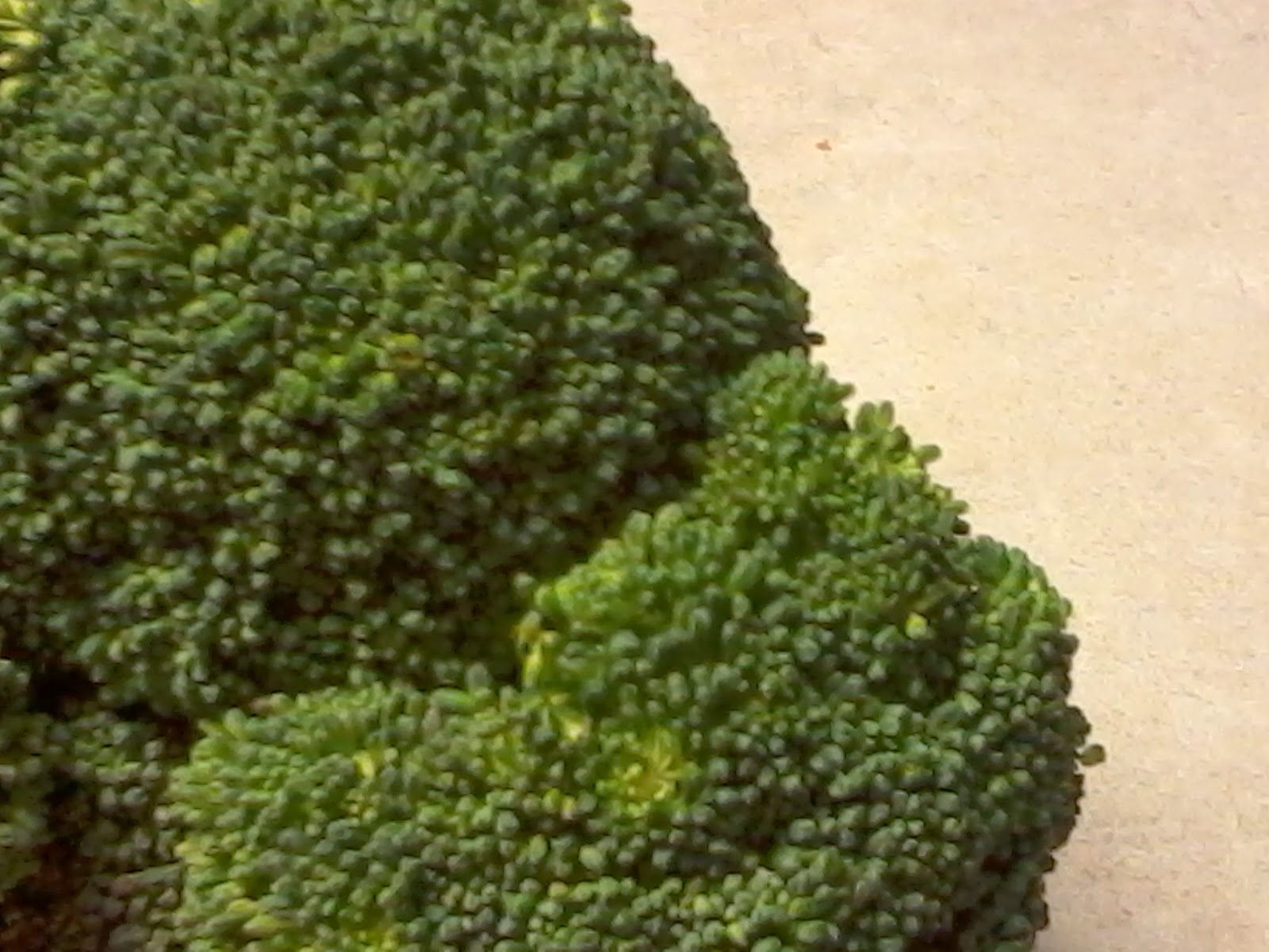 Rebee's Kitchen: Vegetable of the Week: Broccoli