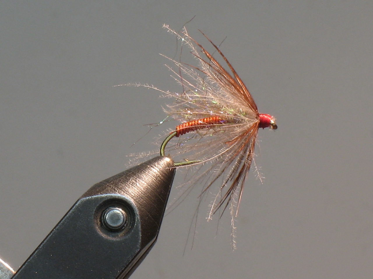 ALPENGlOW: Yuba-Ku, Fall Caddis