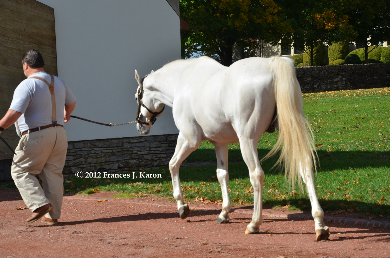 Running Rough Shod: Tapit, Saturday Star