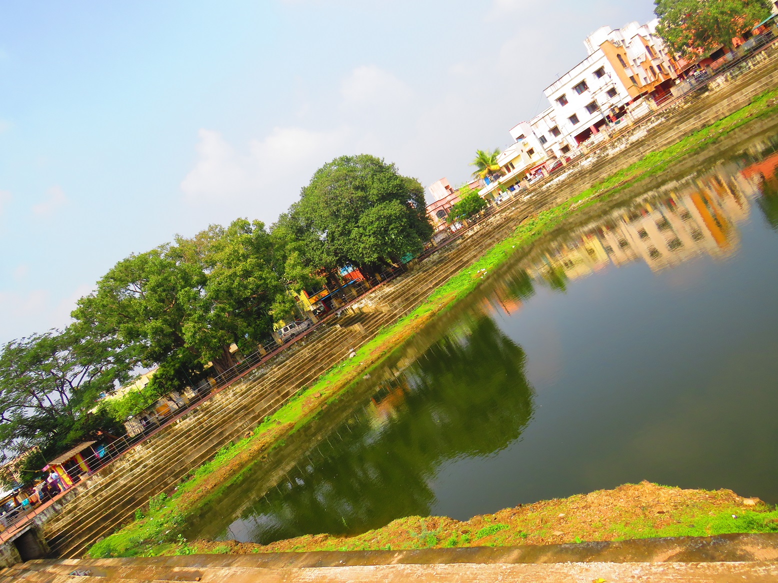 Perumal Kovil Kulam, Selaiyur (Waterbodies of Chennai - 15)