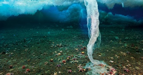 Facts Of World: Brinicle- Finger Of Death (Please Don't Touch It)