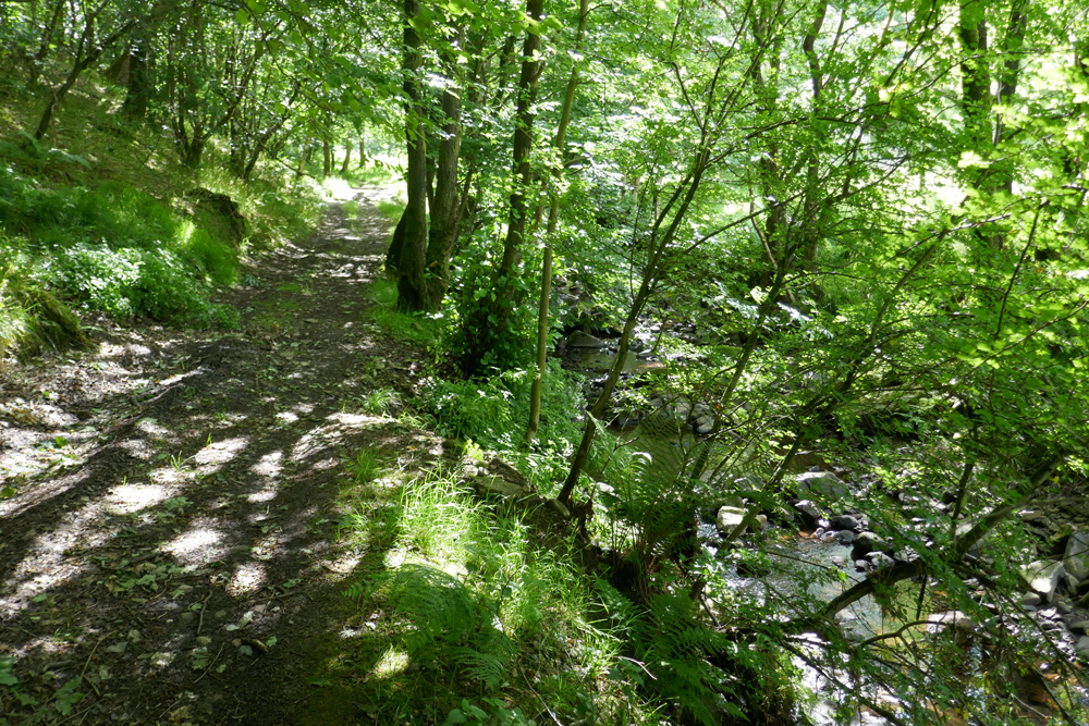 conradwalks: Littledale and Mallowdale