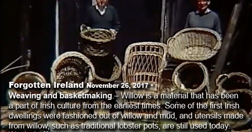 WILLOWWEAVERS TASMANIA: FORGOTTEN IRELAND