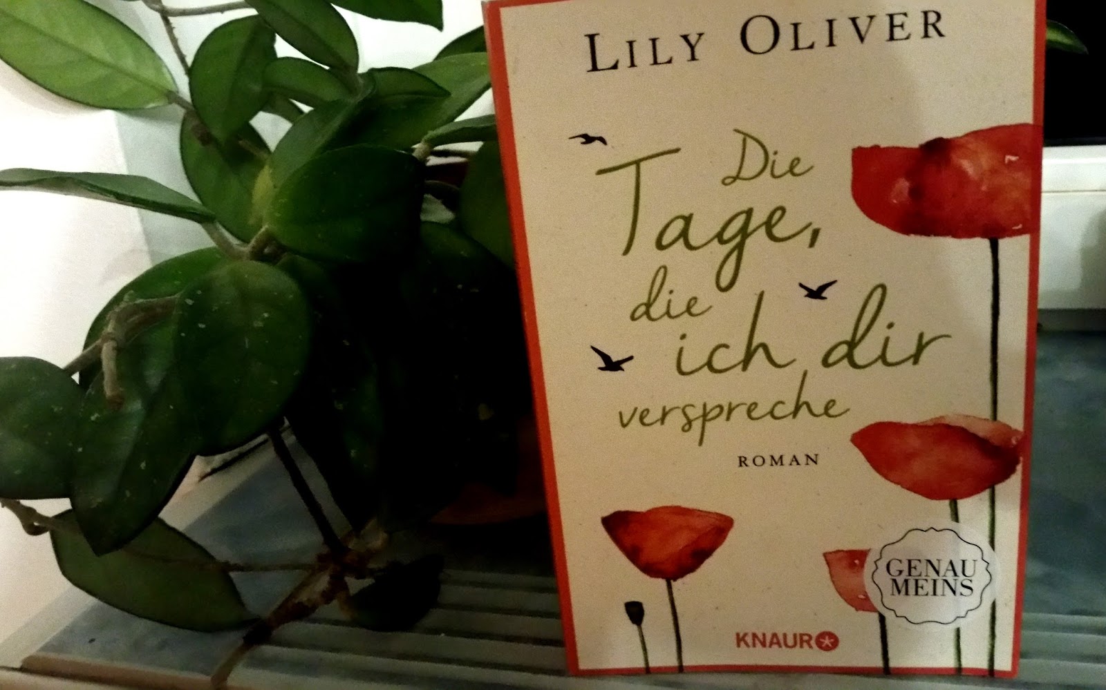 Jen's readable books: Gemeinsam Lesen #2 - Die Tage, die ich dir verspreche