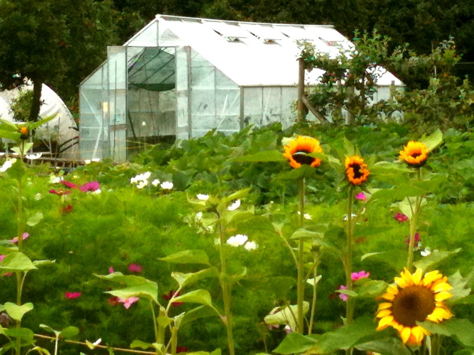 Pas grand-chose: 09/06/11