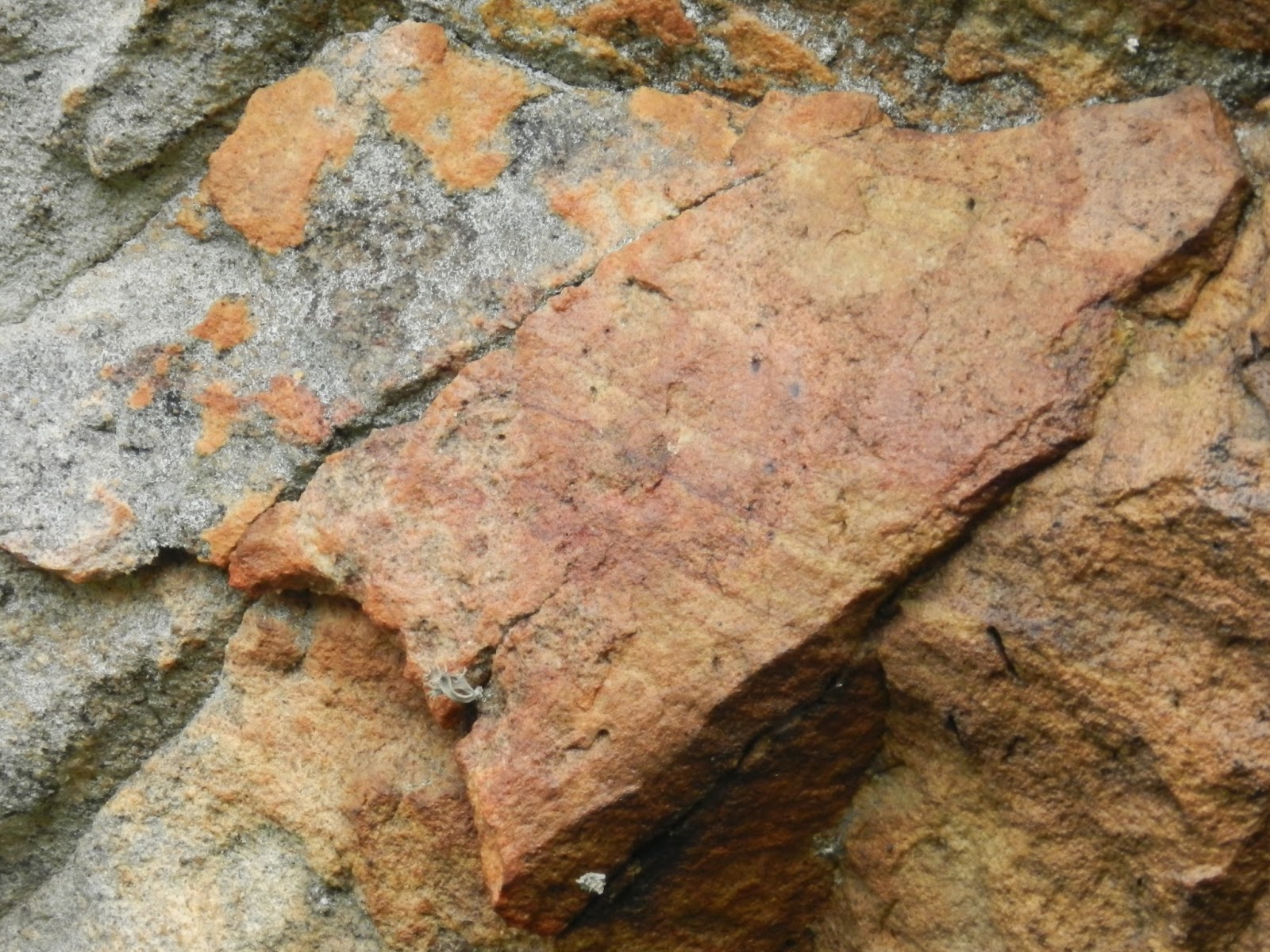 Rutas con enjundia: Torre de la Peña