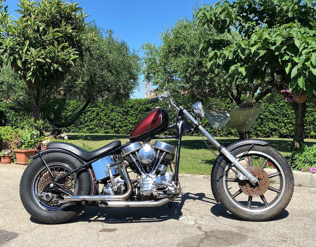 GalluzHead...... Be a Man ride a Pan : H-D FL Panhead Chopper for sale
