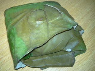 DEMI MASA .. sesungguhnya manusia itu sentiasa rugi : NASI LINOPOT