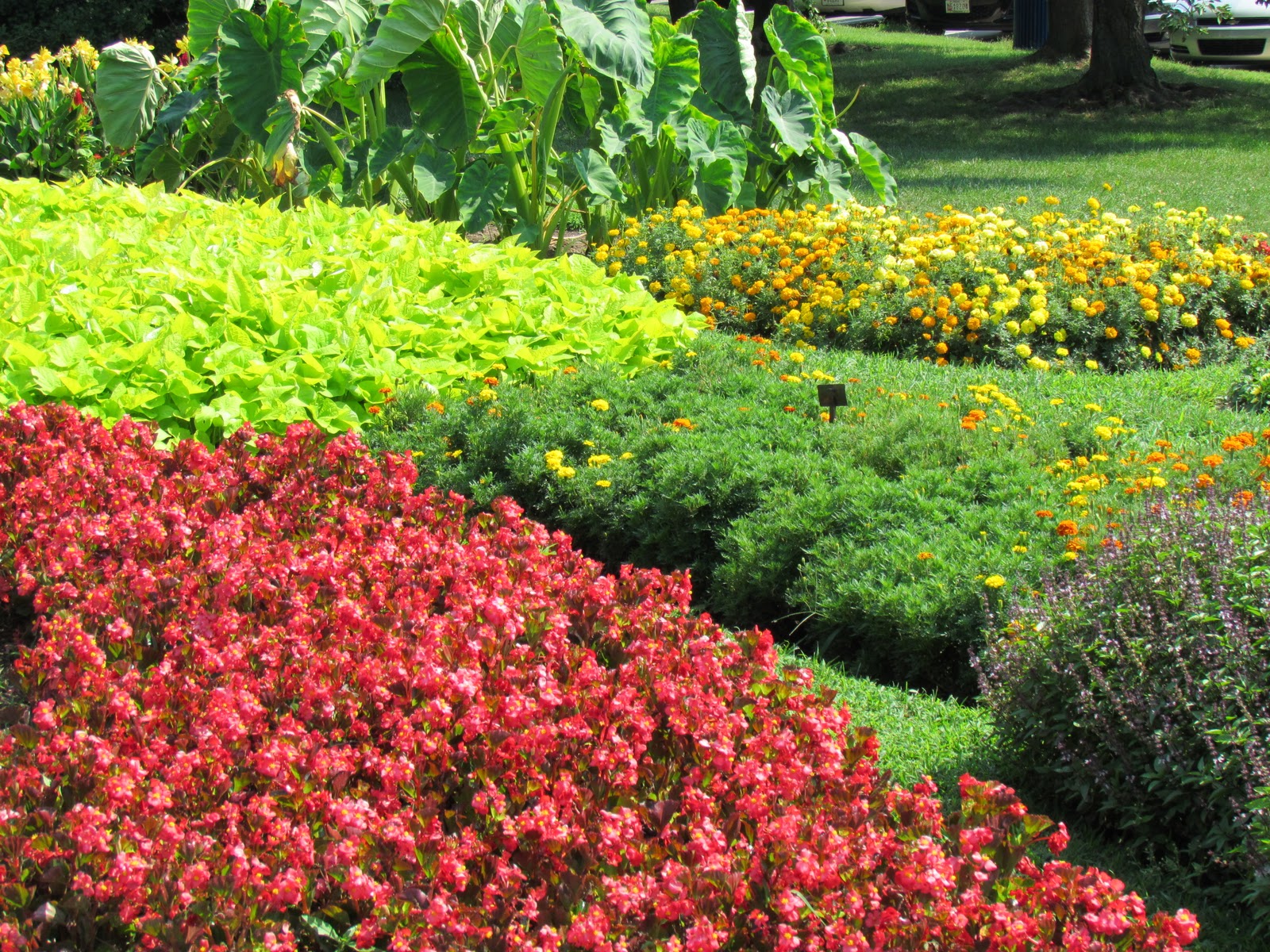 Cricket South's DC Blog: Flower Library: National Park Service