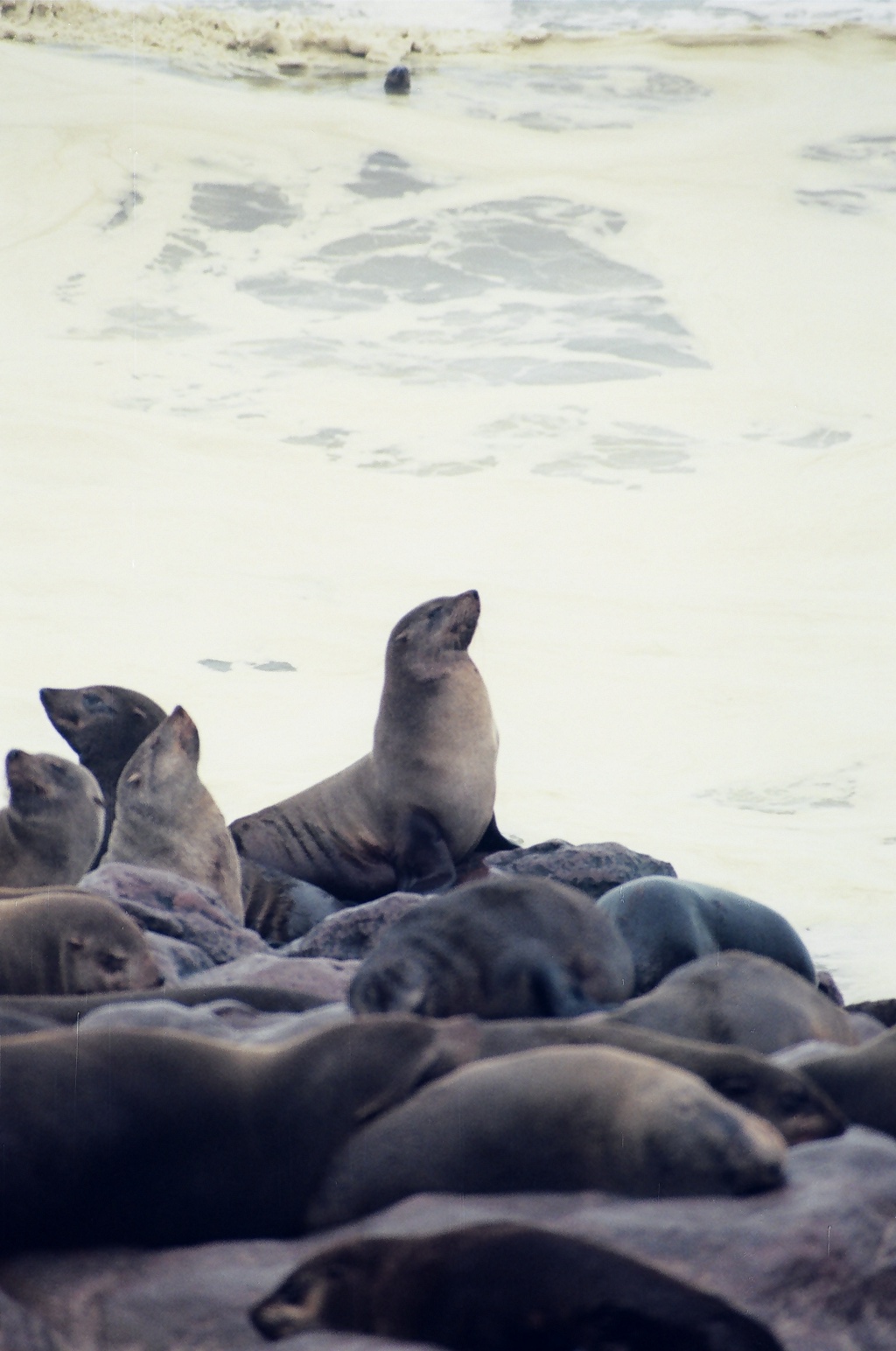 Magic Namibia: The Namib, a desert miracle: the Benguela Current