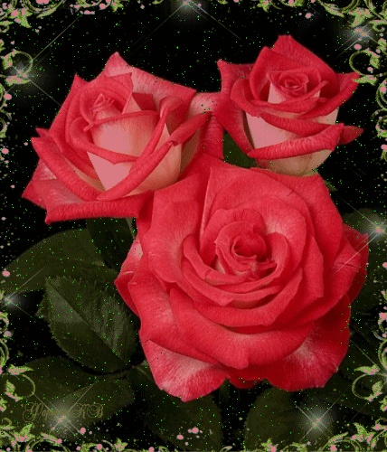 Decent Image Scraps Animated Roses