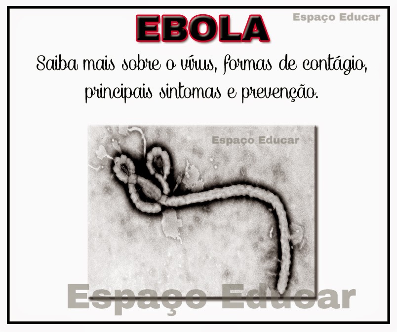 O Que é O Ebola Quais Os Sintomas Existe Tratamento Ou Cura Saiba