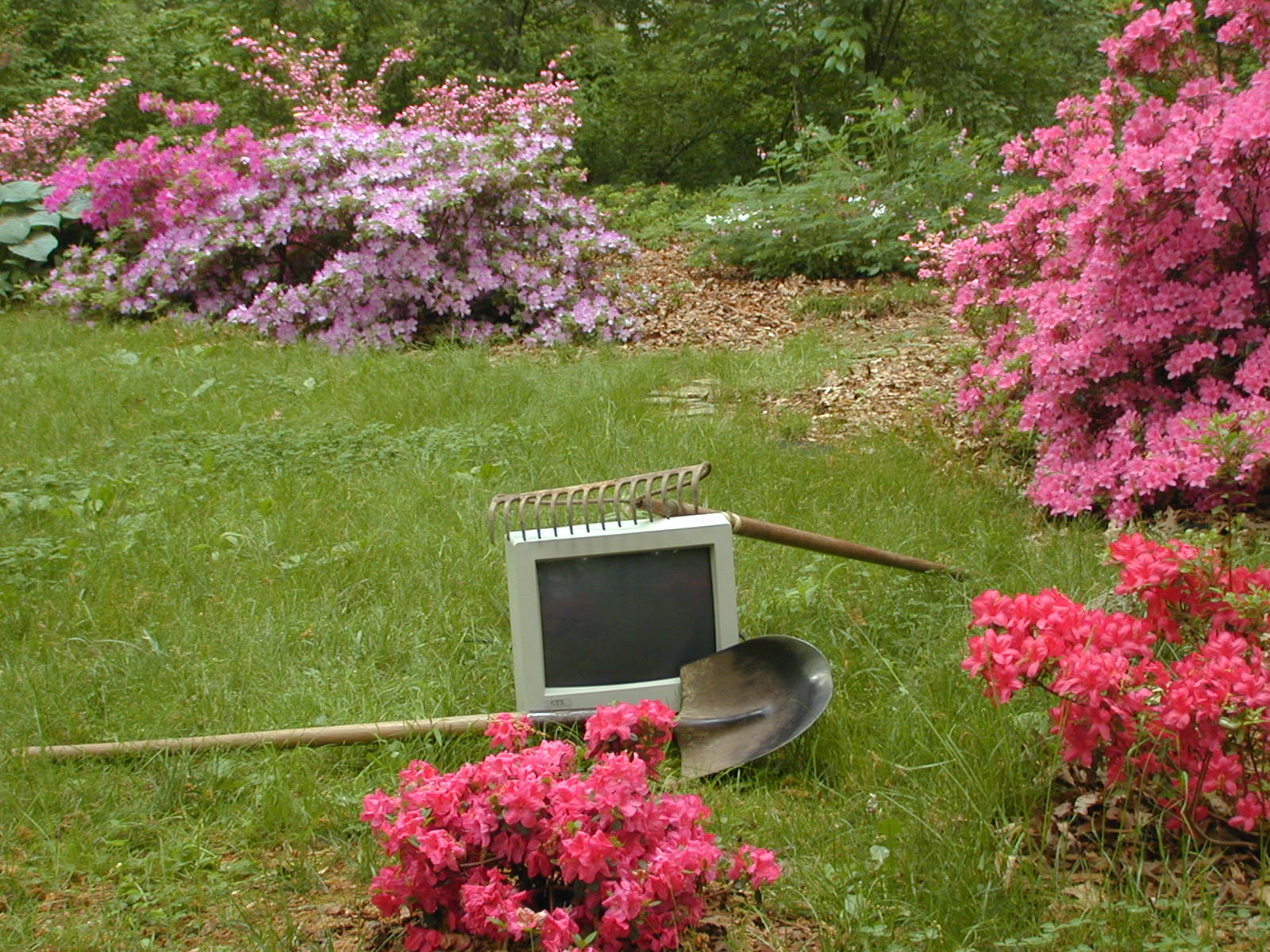 The Garden's Edge: 2018