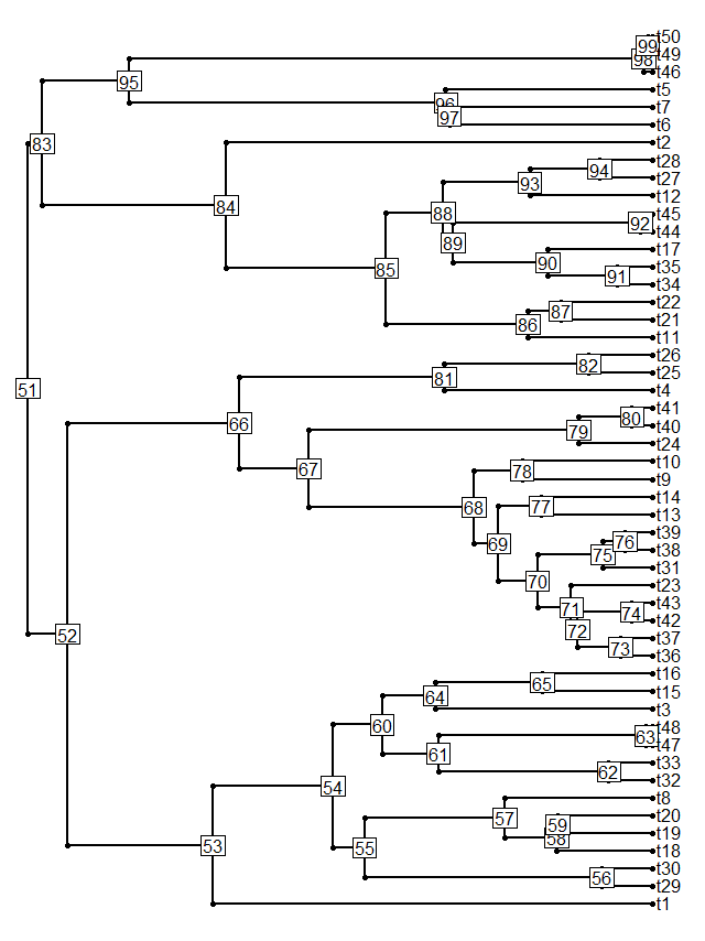 Phylogenetic Tools For Comparative Biology Neat Way To Plot A Slanted Phylogram In Phytools