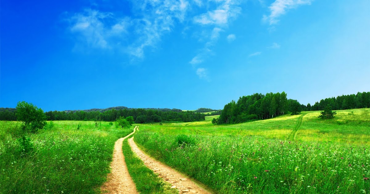 HD IPhone & Cute Desktop Wallpapers: Colorful HD Scenery 2