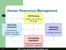 Human Resource Management: THE ROLE OF HUMAN RESOURCE PLANNING