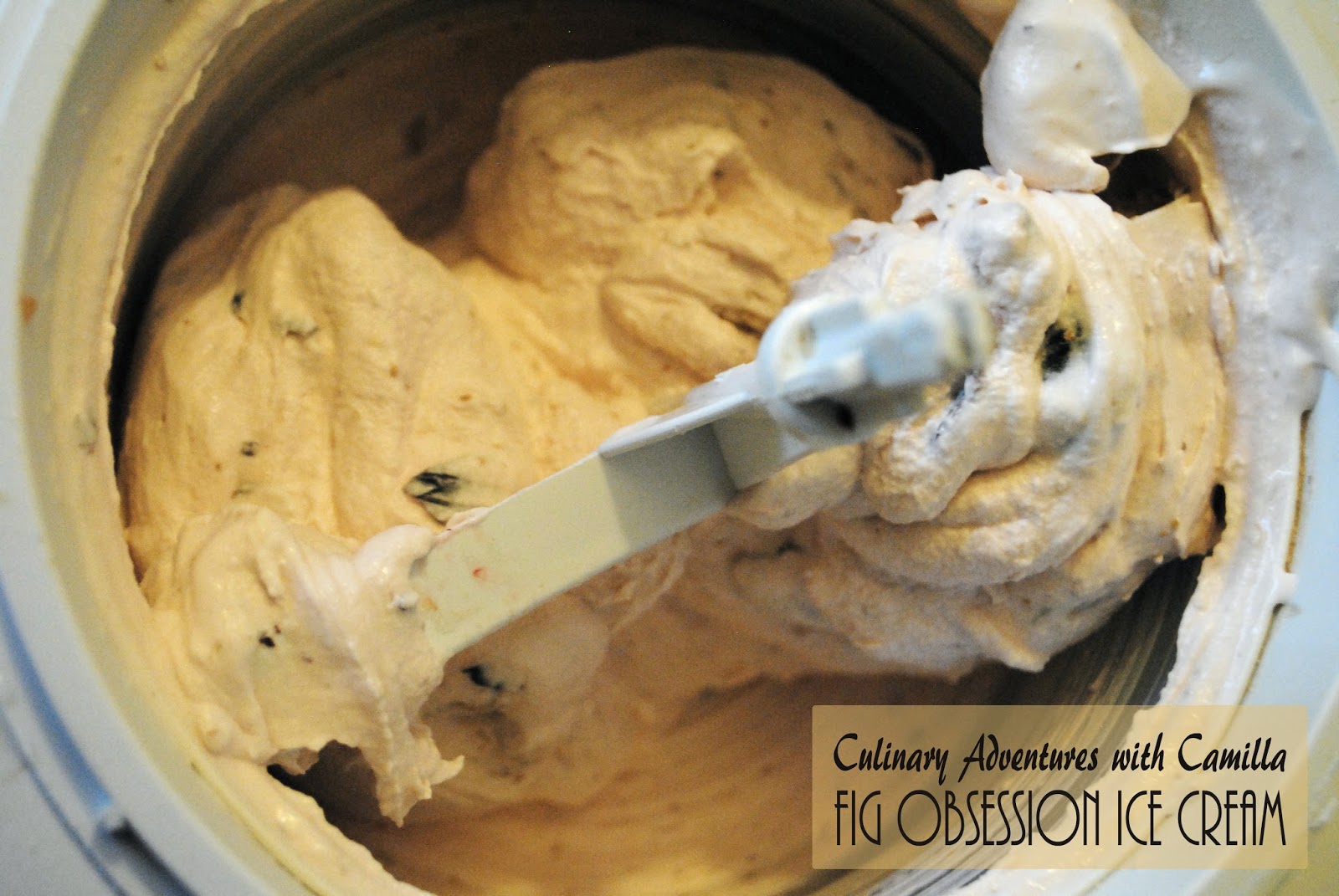 Fig Obsession Ice Cream