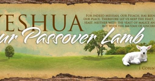 Maudes Poems The Passover Lamb