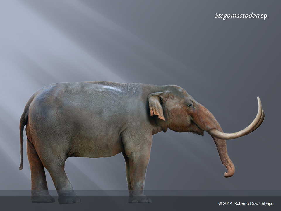 Prehistoric animals - The ZT2 Round Table