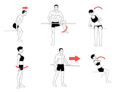 Neuromotor Exercises for people with Multiple Sclerosis | PT-Helper