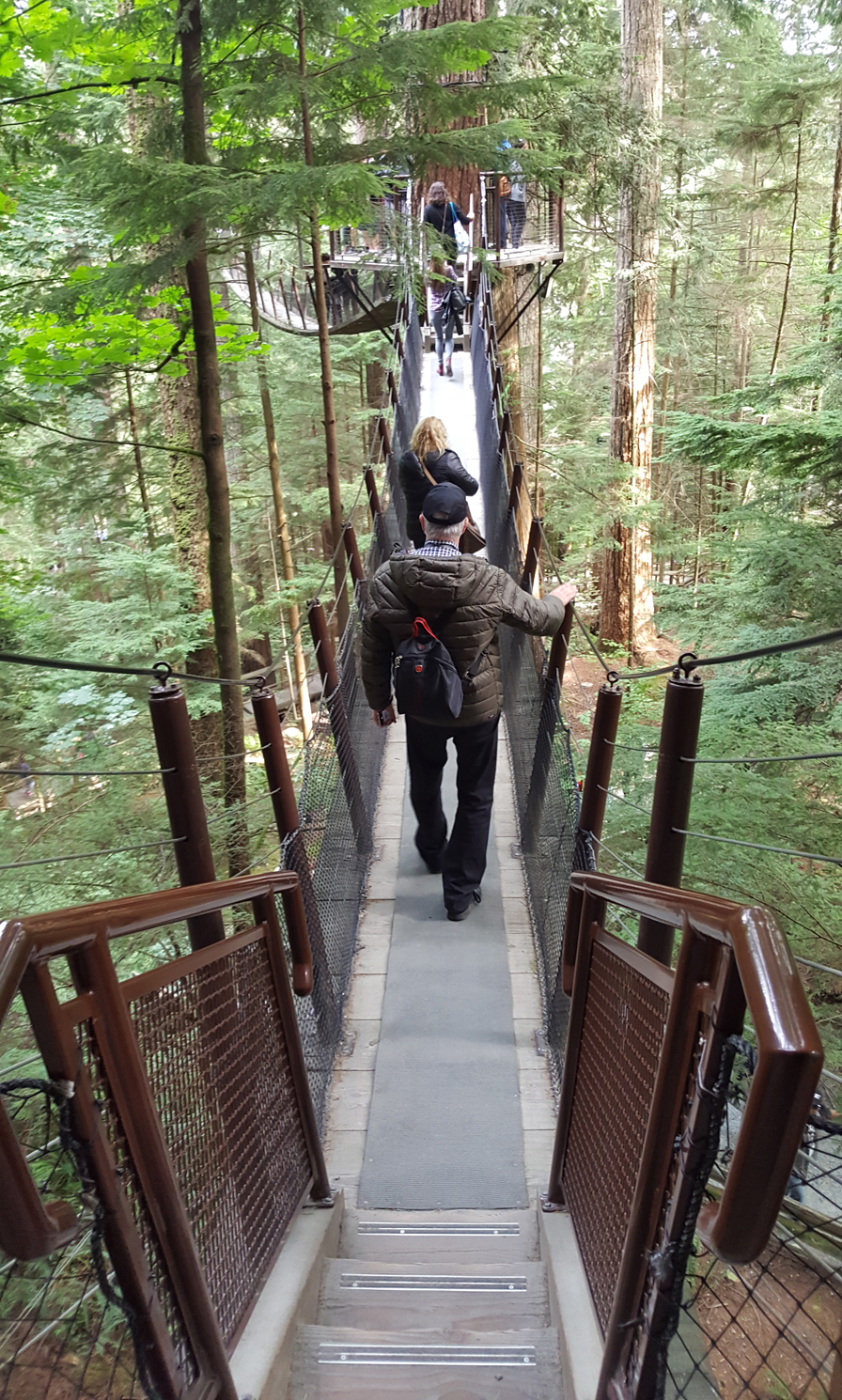 The Happy Pontist: Canadian Bridges: 6. Treetop Walkway, Capilano ...
